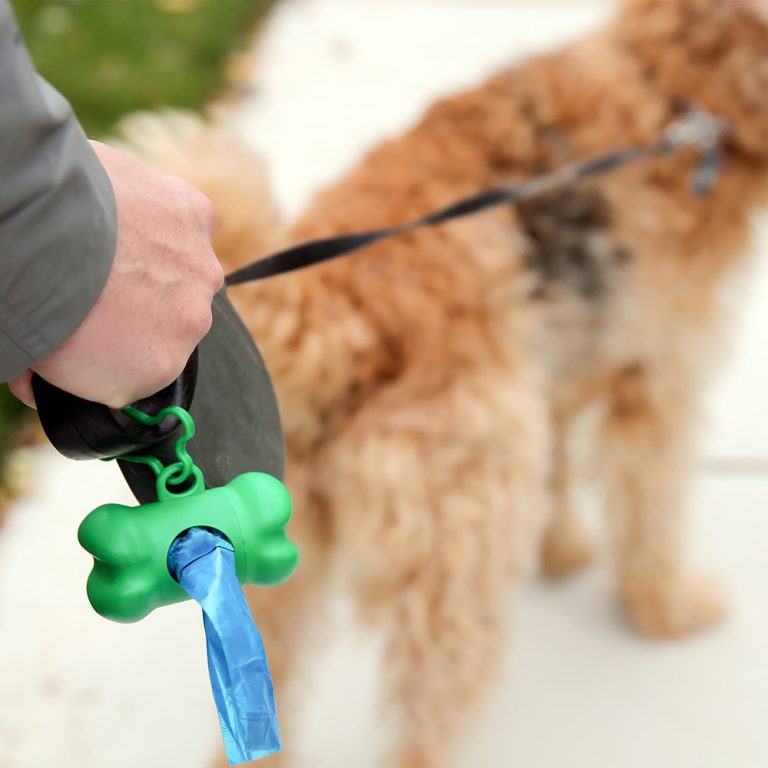 Compostable Dog Poop Bags| Pet Waste Bags – NaturTrust