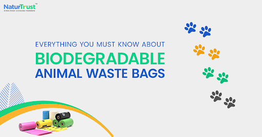 Everything You Must Know About Biodegradable Animal Waste Bags