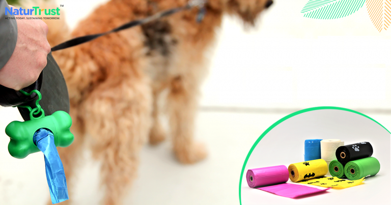 Everything You Must Know About Biodegradable Animal Waste Bags