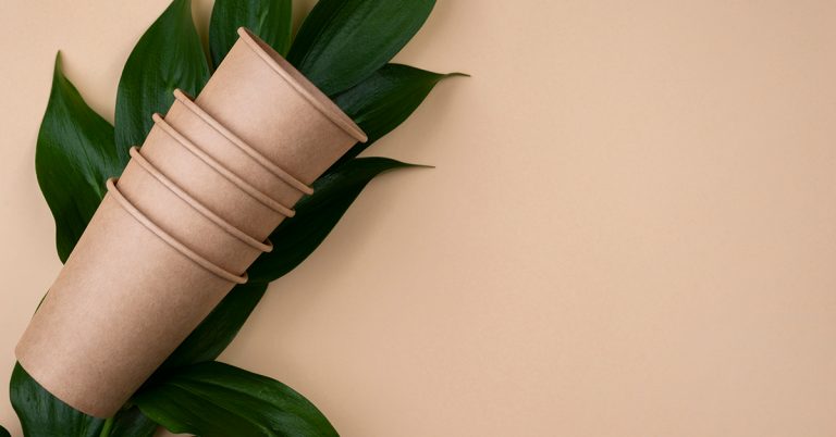 Why Choose Biodegradable Products?